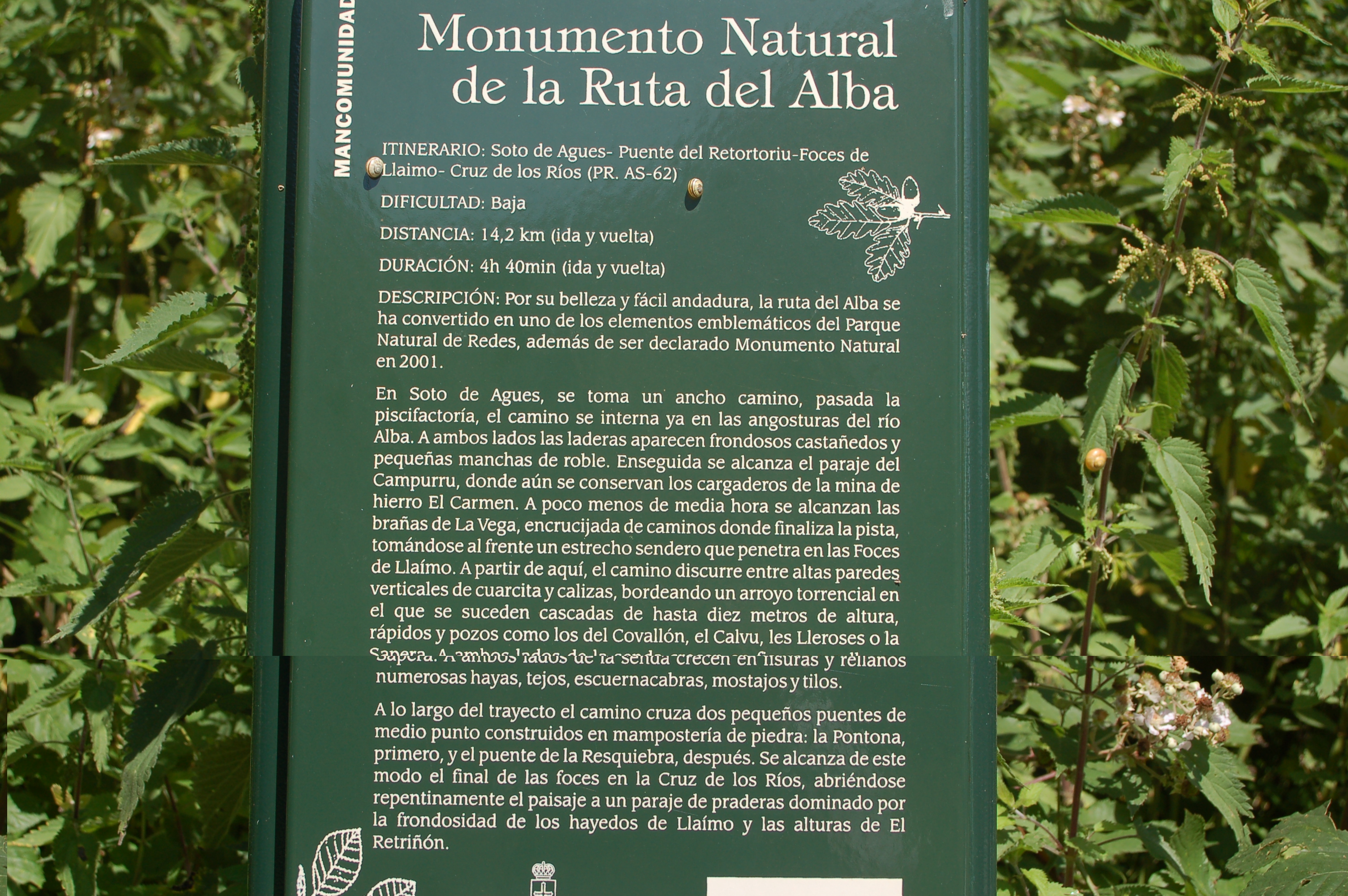 Ruta Ruta del Alba, Parque Natural de Redes, Asturias